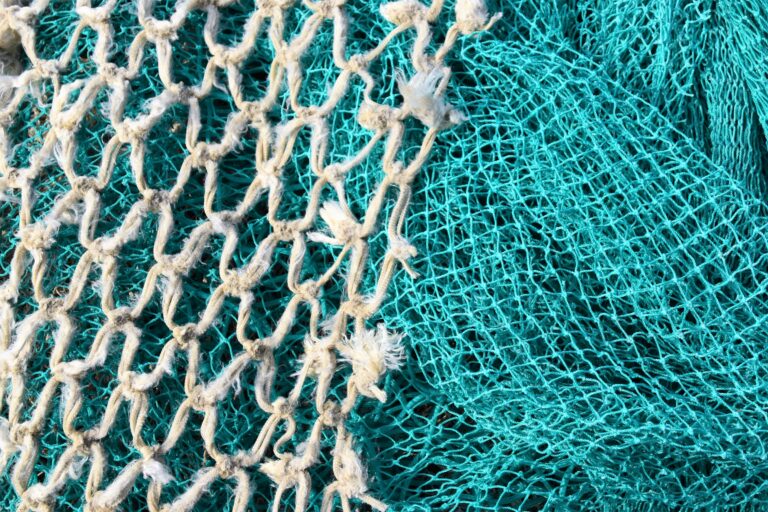 What is Econyl Fabric? Is it Really Sustainable?
