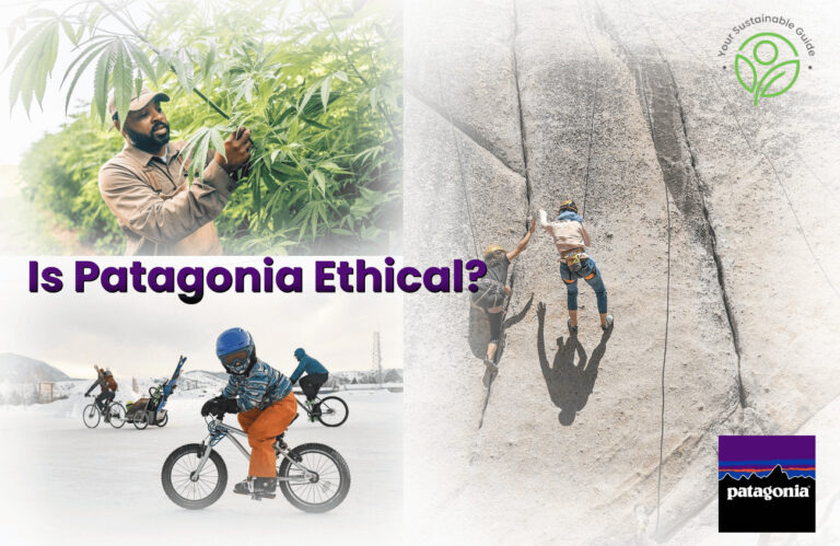 Is Temu Fast Fashion? Ethical & Sustainability Rating