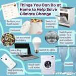 25 Best Sustainability Blogs: Transform Your Worldview