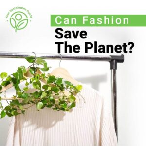 25 Best Sustainability Blogs: Transform Your Worldview