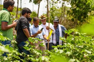 Google Sustainability: An Insight into the Conscious Efforts