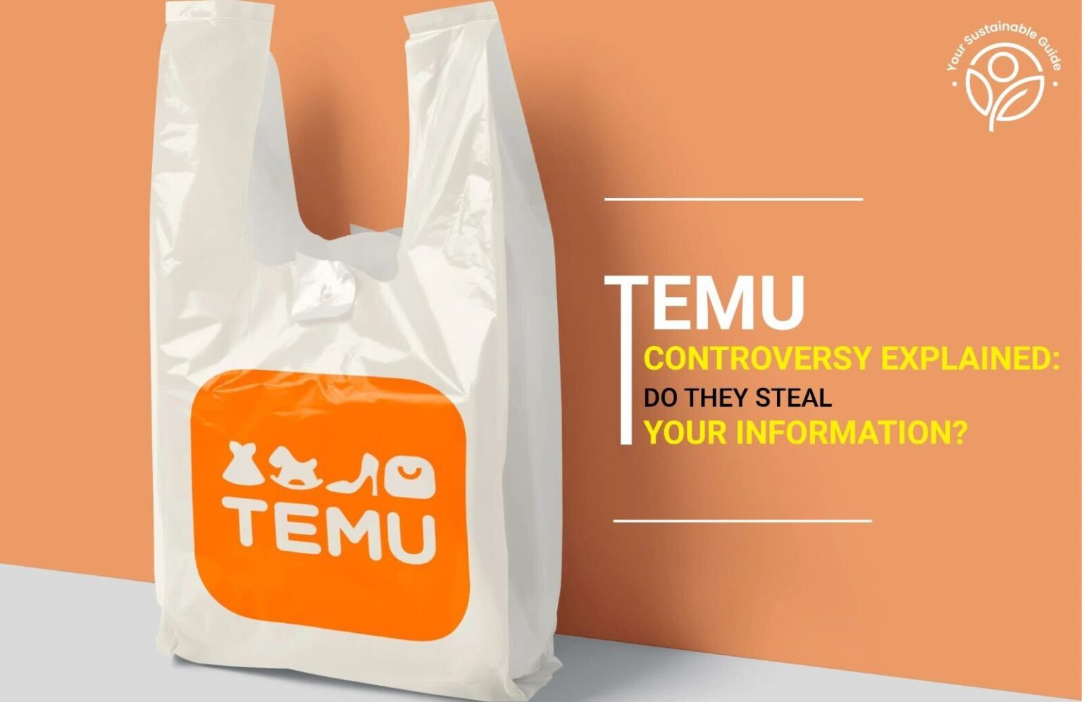 Does Temu Steal Your Information? Controversy Explained